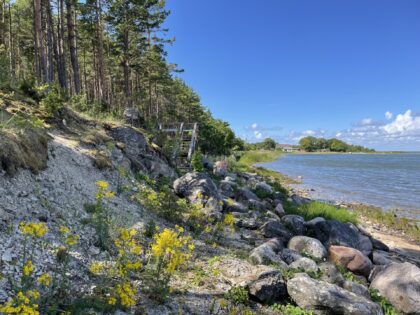 Sights - Visit Saaremaa